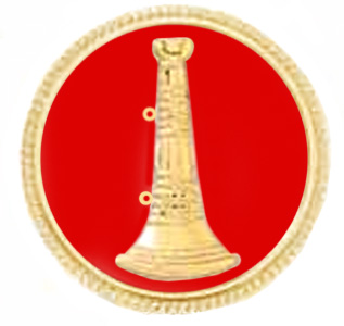 Hat Badges, Hillsborough County Fire Rescue