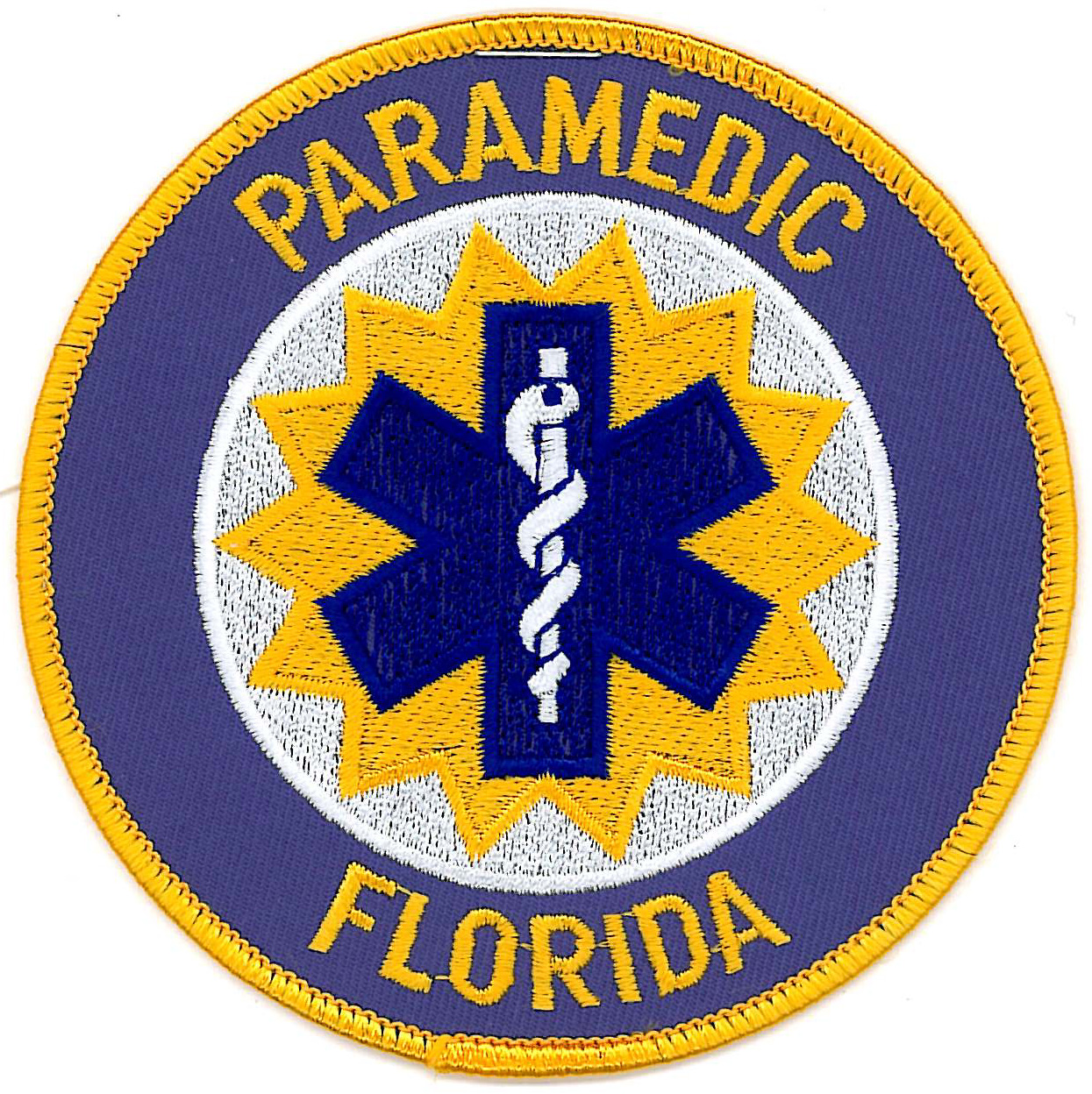 The Paramedic Logo